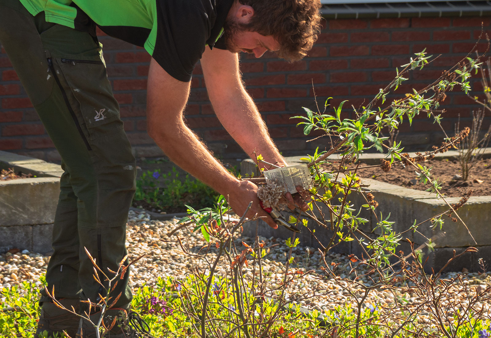 Hoveniersbedrijf Steffens | Showtuin Heeten